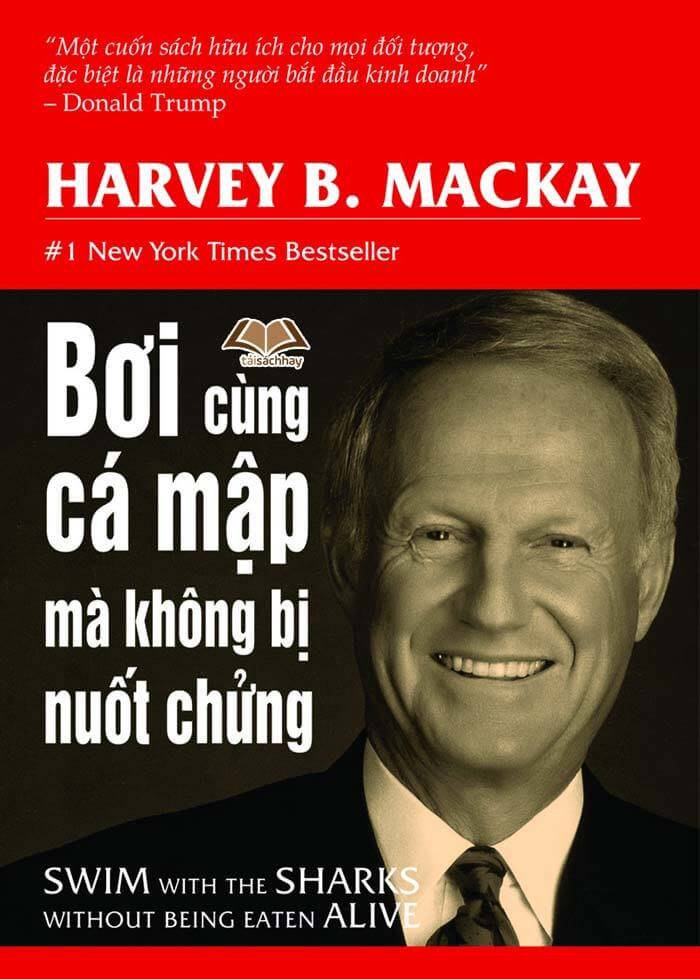 Bơi Cùng Cá Mập Mà Không Bị Nuốt Chửng | Mê Tải Sách